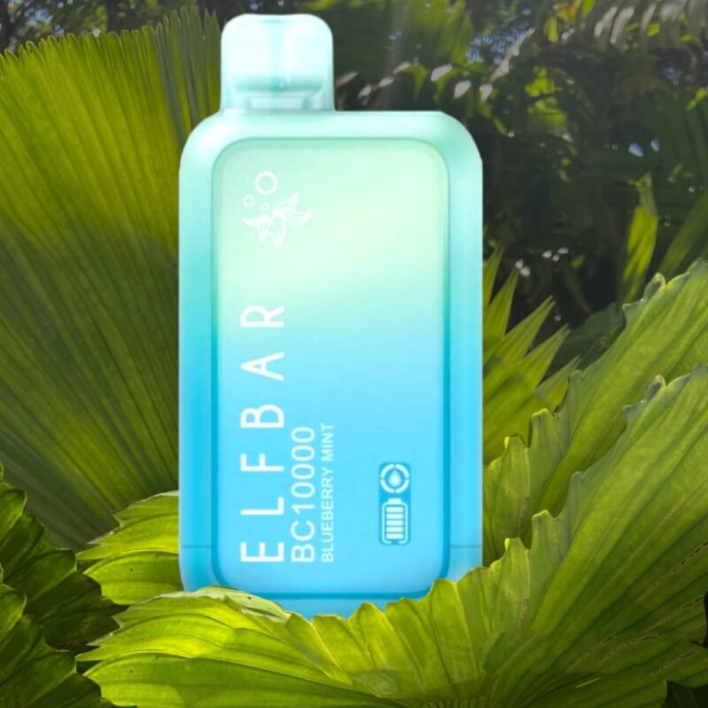 ELF BAR Blue Berry Mint BC 10000 Puffs 50mg